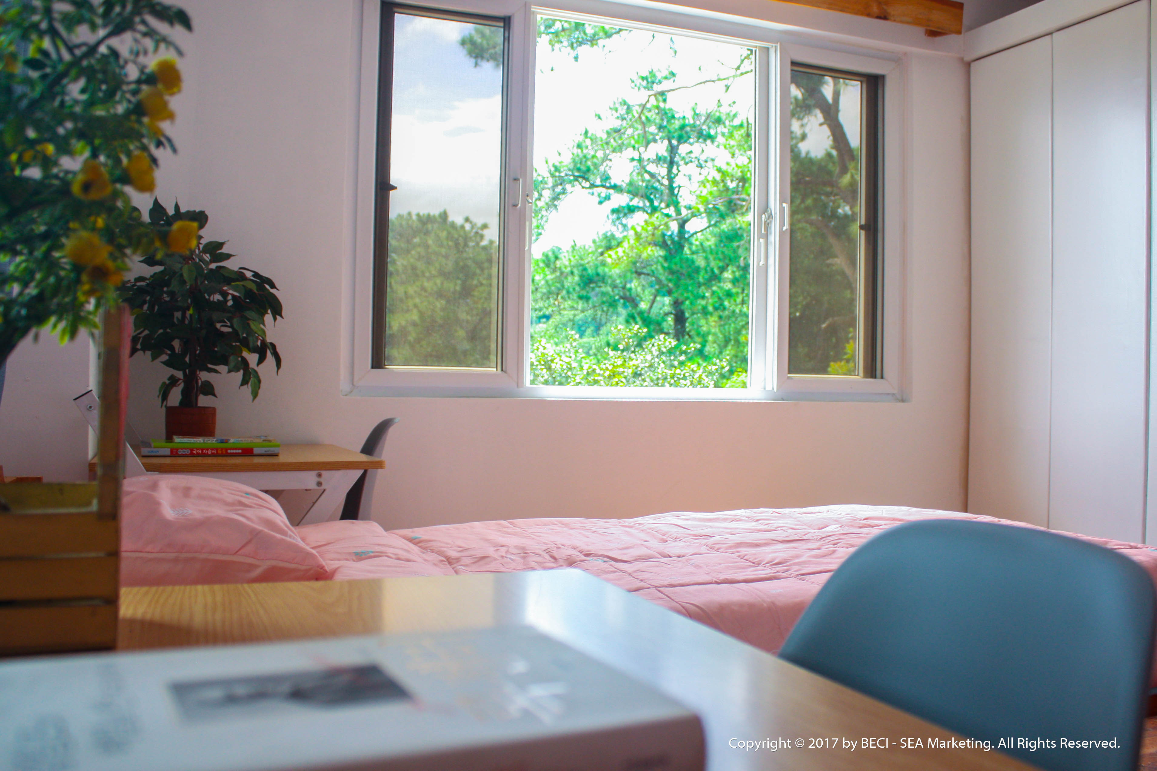 API BECI The Cafe(バギオ/Baguio)学校紹介