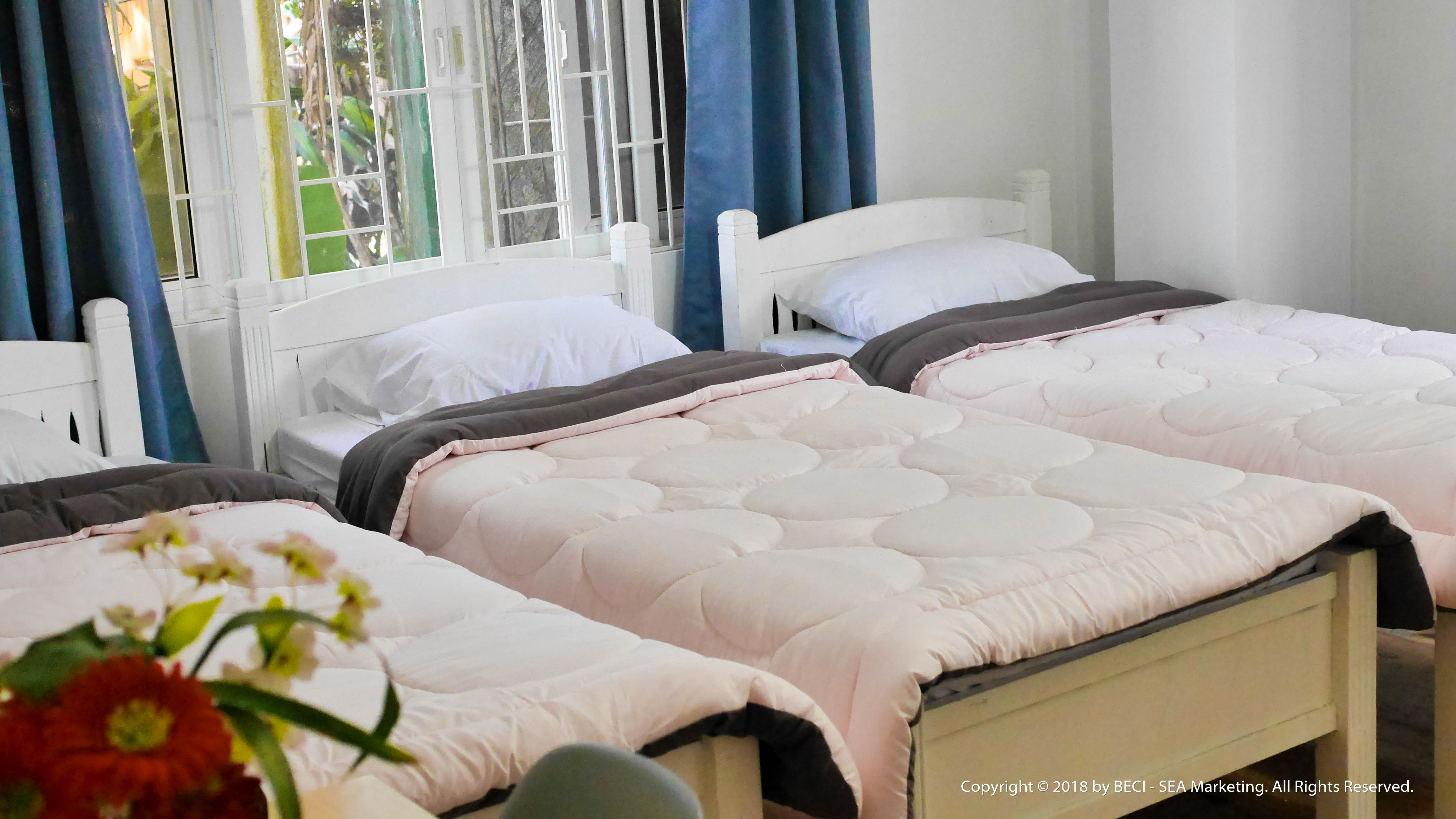 API BECI The Cafe(バギオ/Baguio)学校紹介